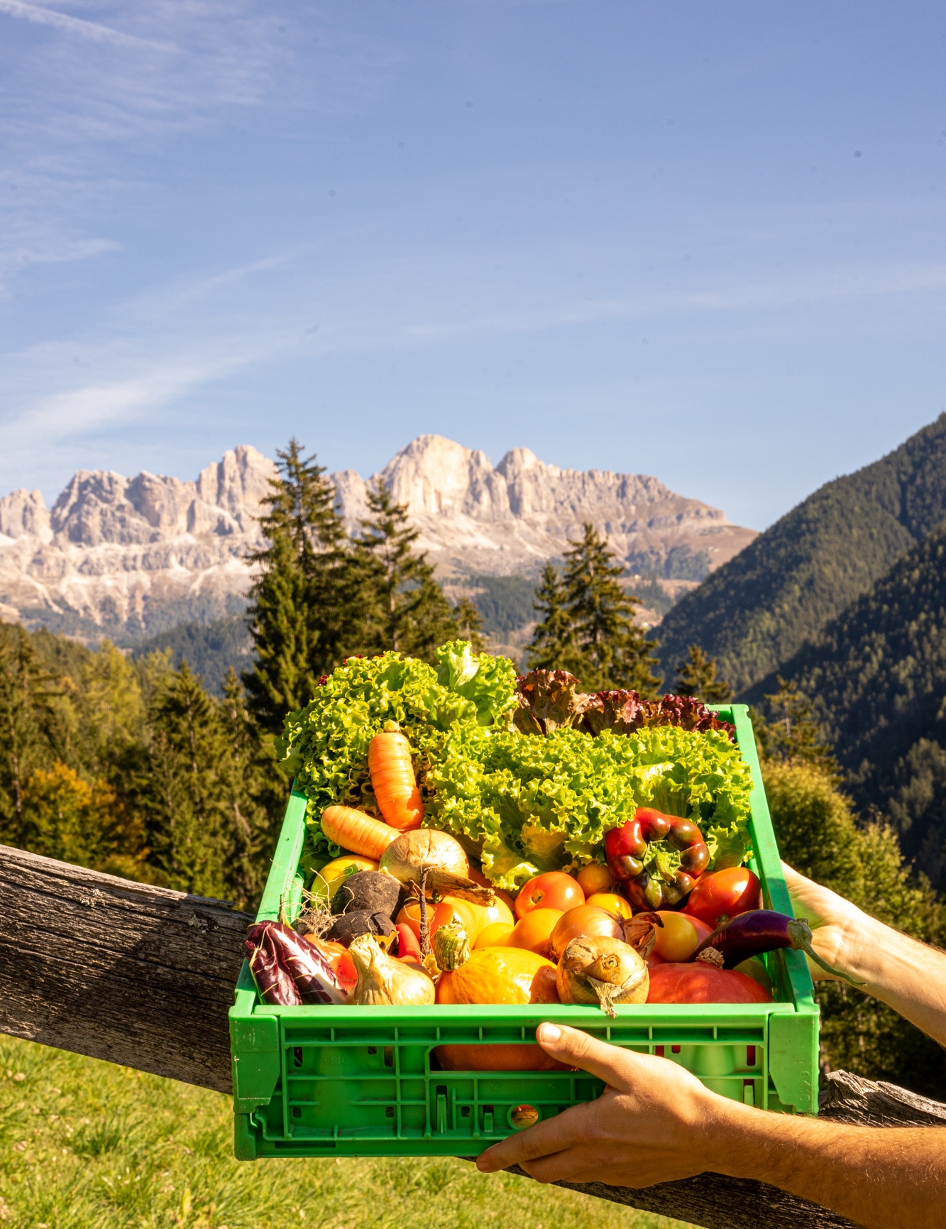 Experiences | Sporthotel Passo Carezza